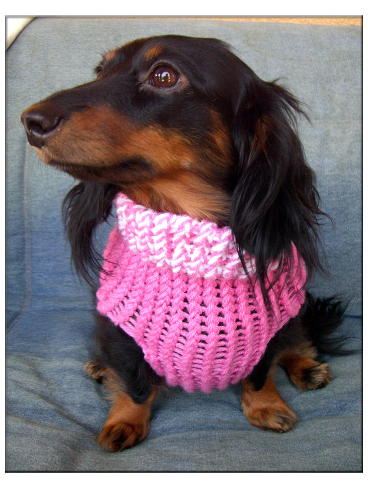Dog Sweater 2 LoomaHat